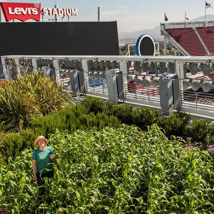 About | Farmscape – Farmscape