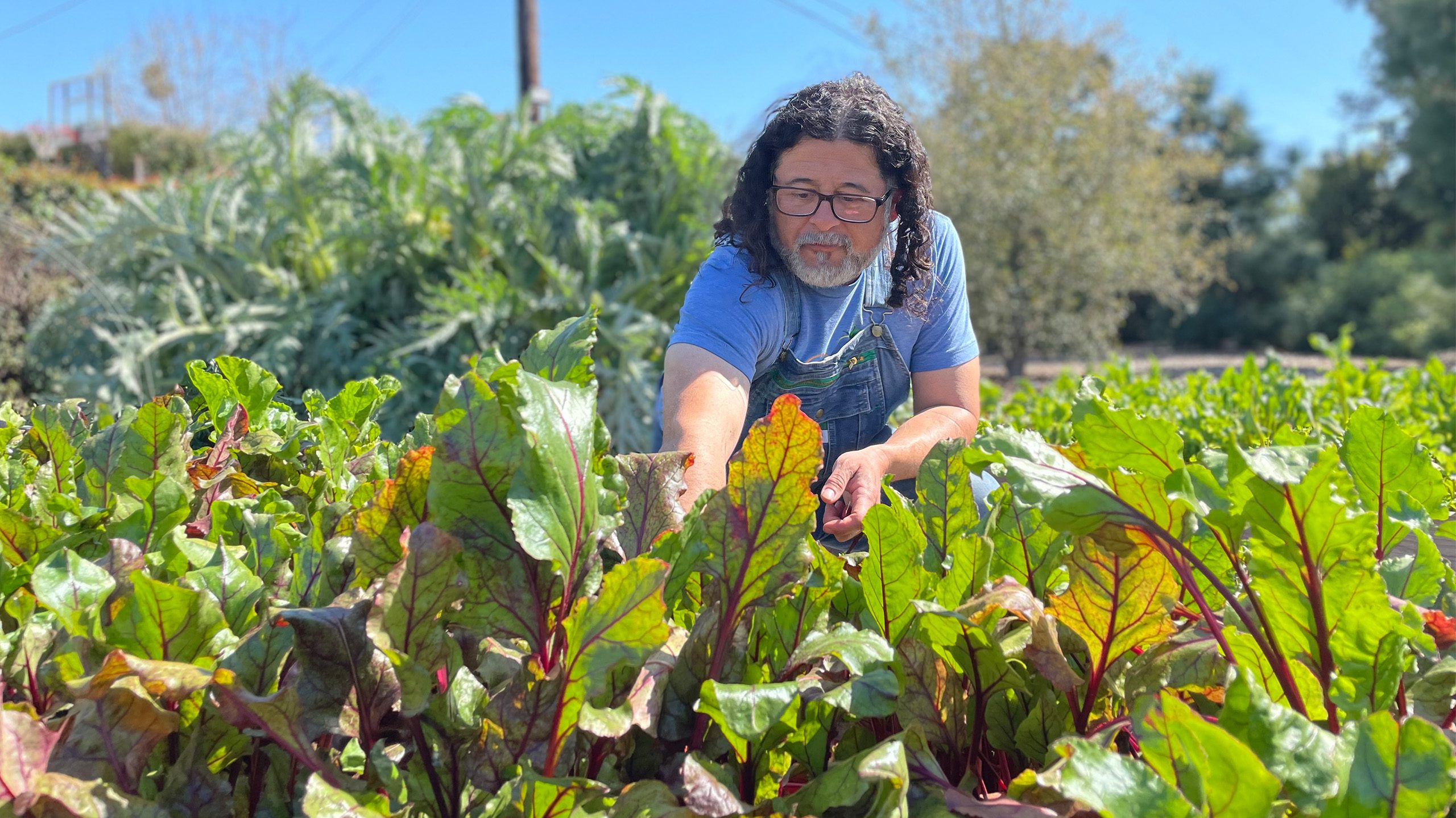 Join Our Team | Farmscape – Farmscape