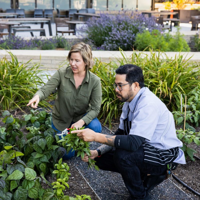 STEM Kitchen & Garden | Farmscape