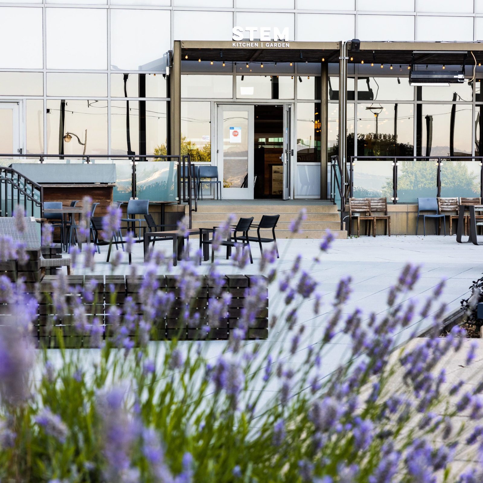 STEM Kitchen & Garden | Farmscape