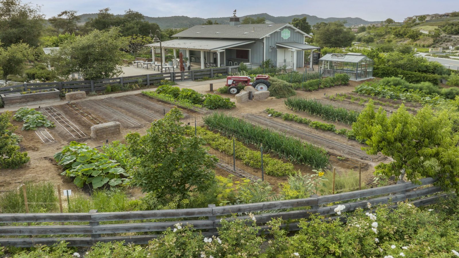 Esencia Farm | Farmscape