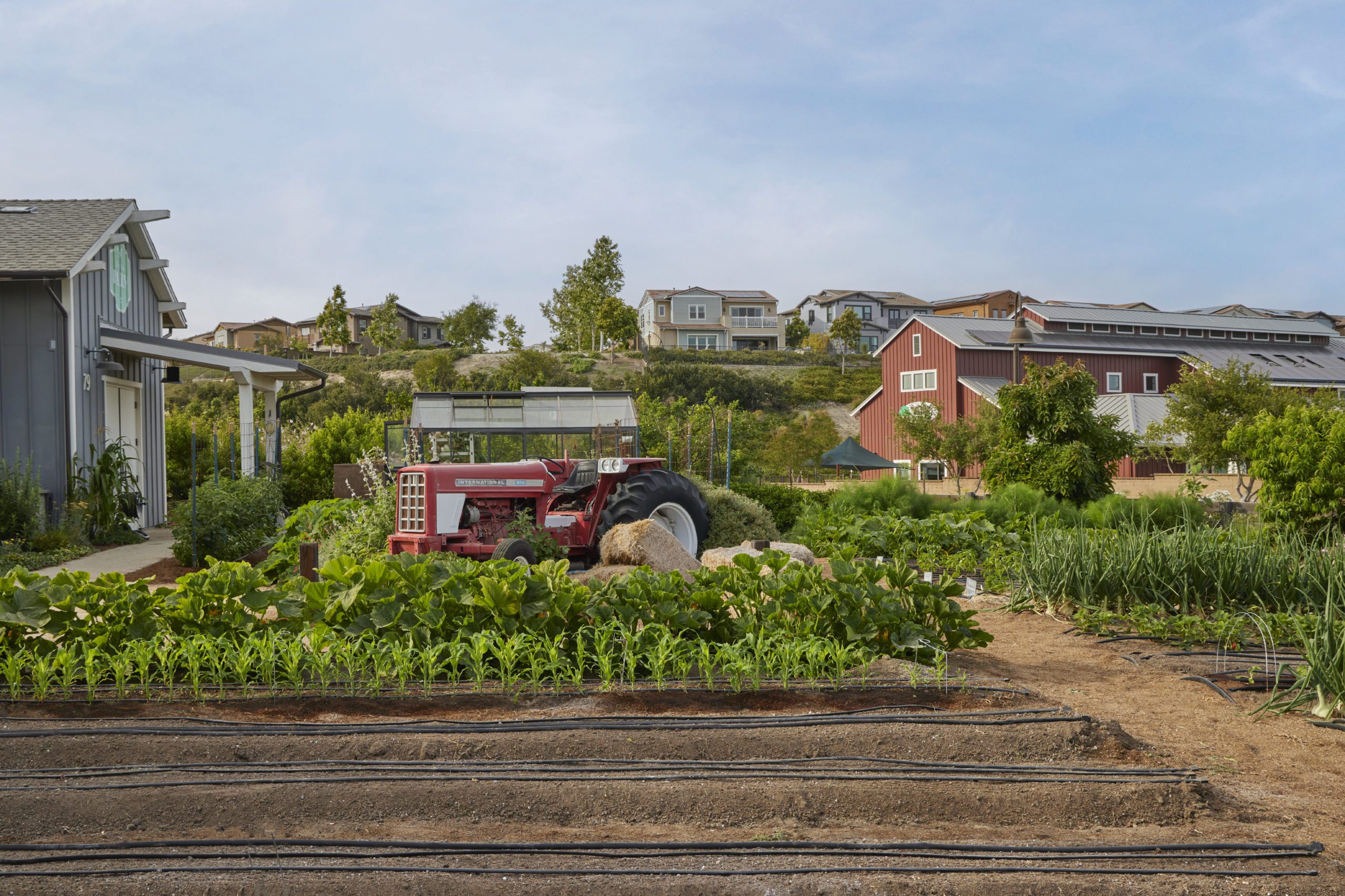 Multi-Family | Farmscape – Farmscape