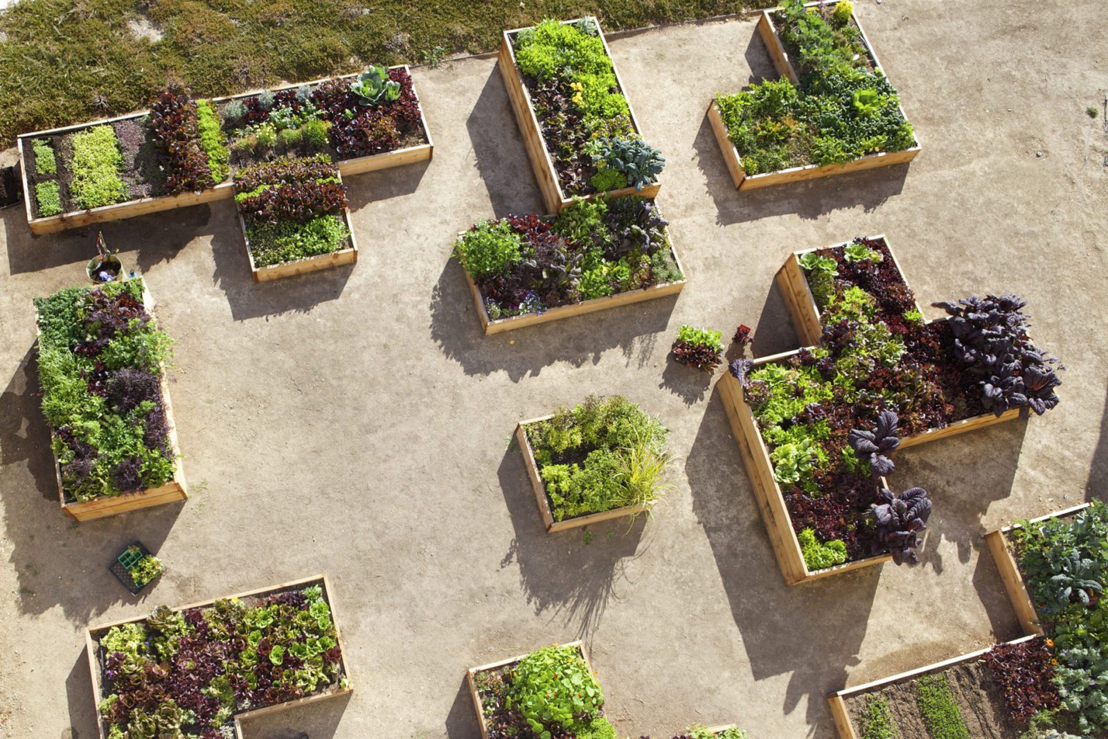 Commercial | Farmscape – Farmscape