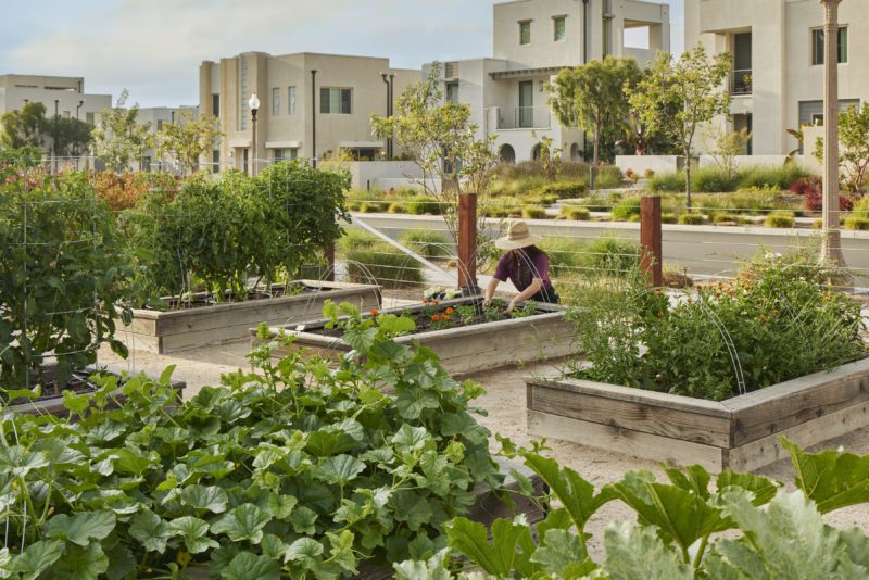 Great Park Neighborhoods | Farmscape – Farmscape
