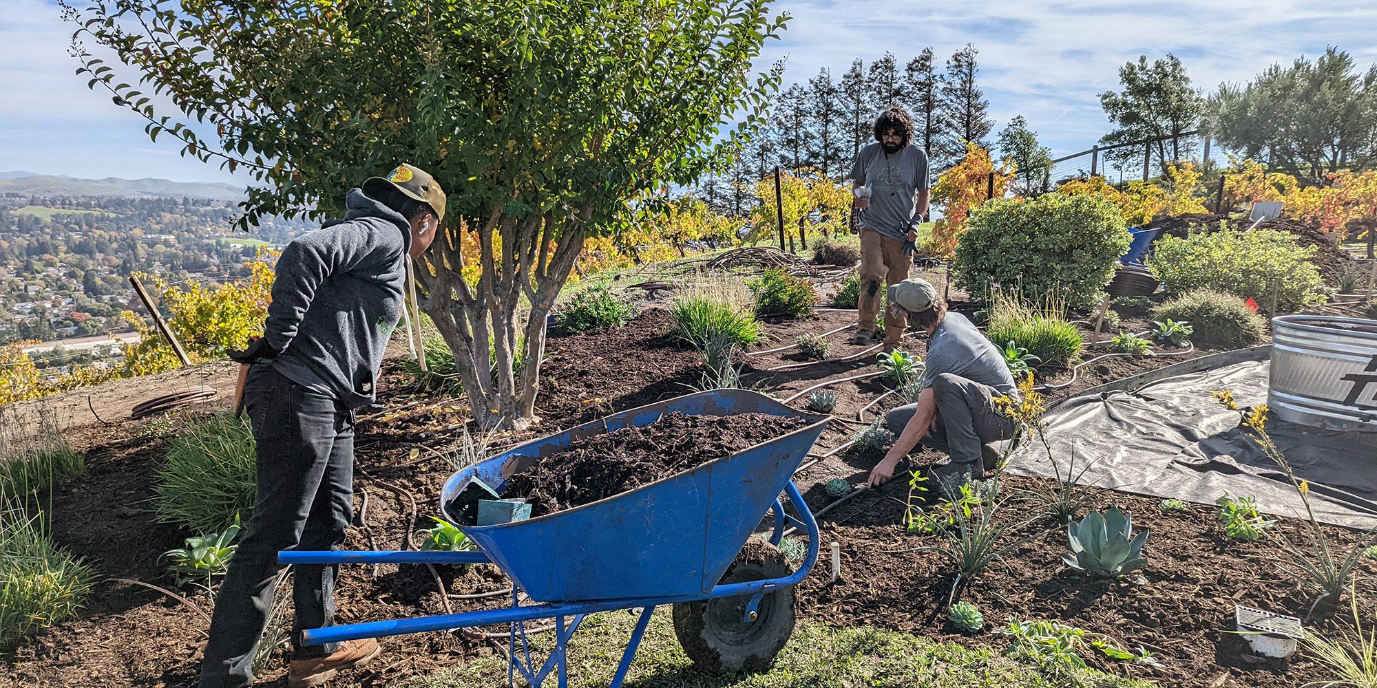Landscape Installation Services in California | Farmscape