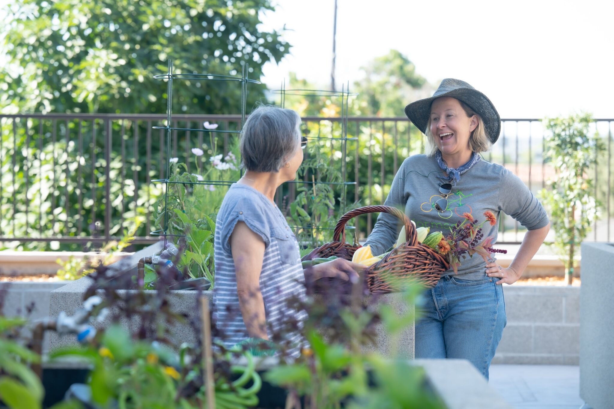 » Combining Urban Farming & Affordable Housing: Farmscape’s Innovative ...