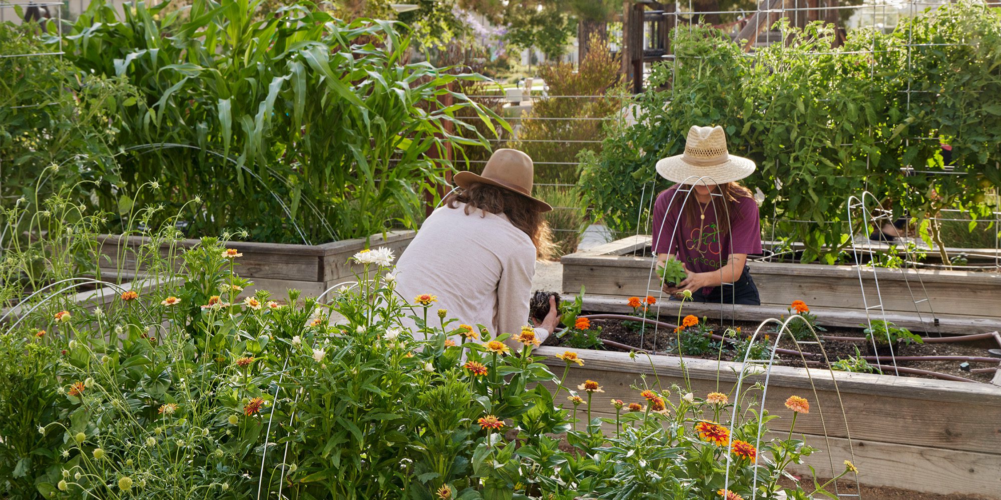 Maintenance | Farmscape