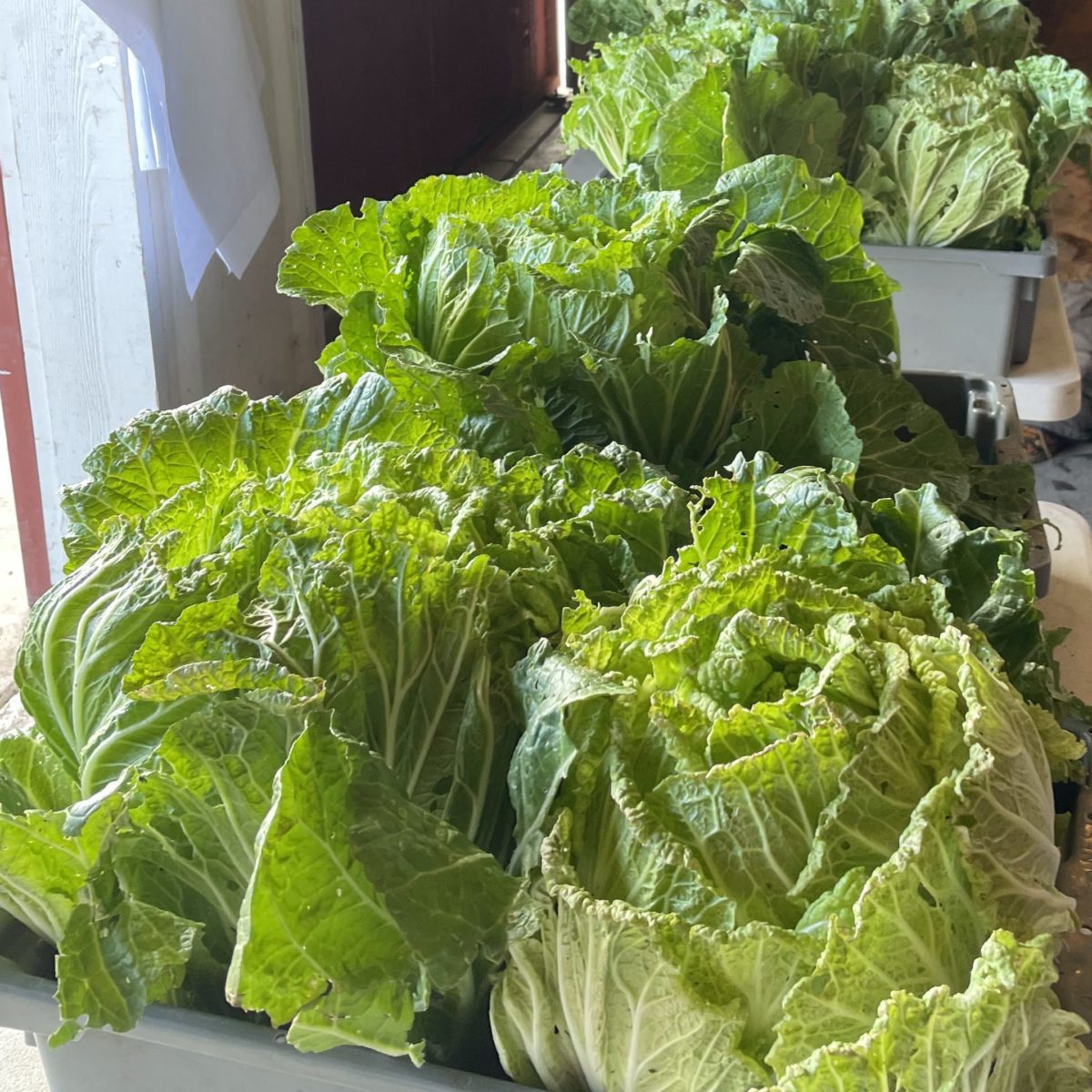 Patterson Ranch | Farmscape – Farmscape