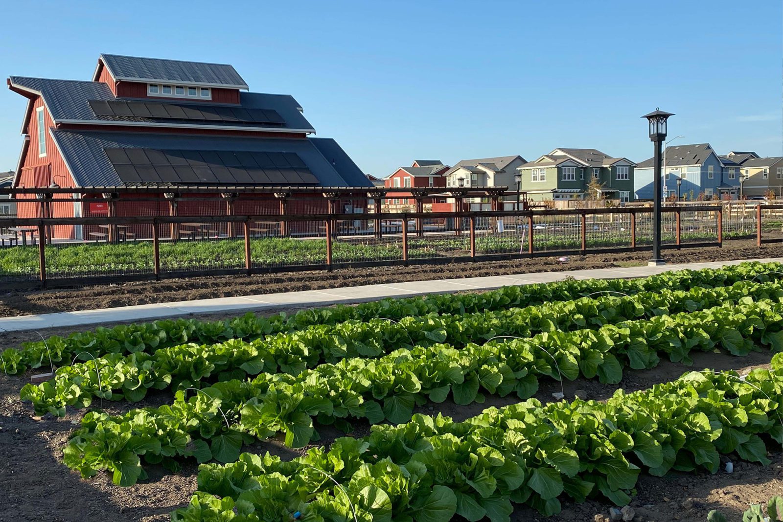 Multi-Family | Farmscape – Farmscape