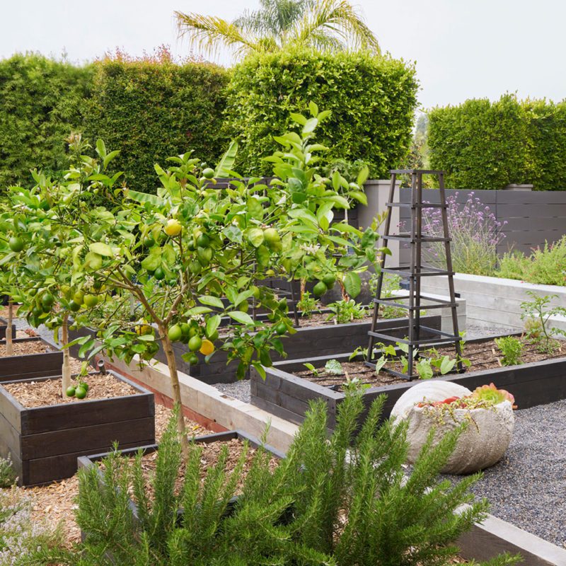 About | Farmscape – Farmscape