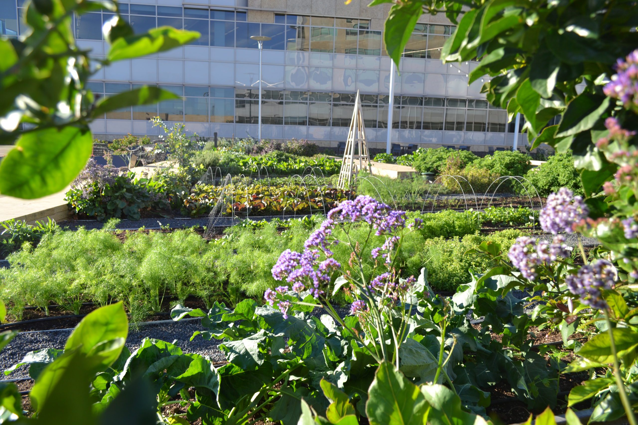 Commercial | Farmscape – Farmscape