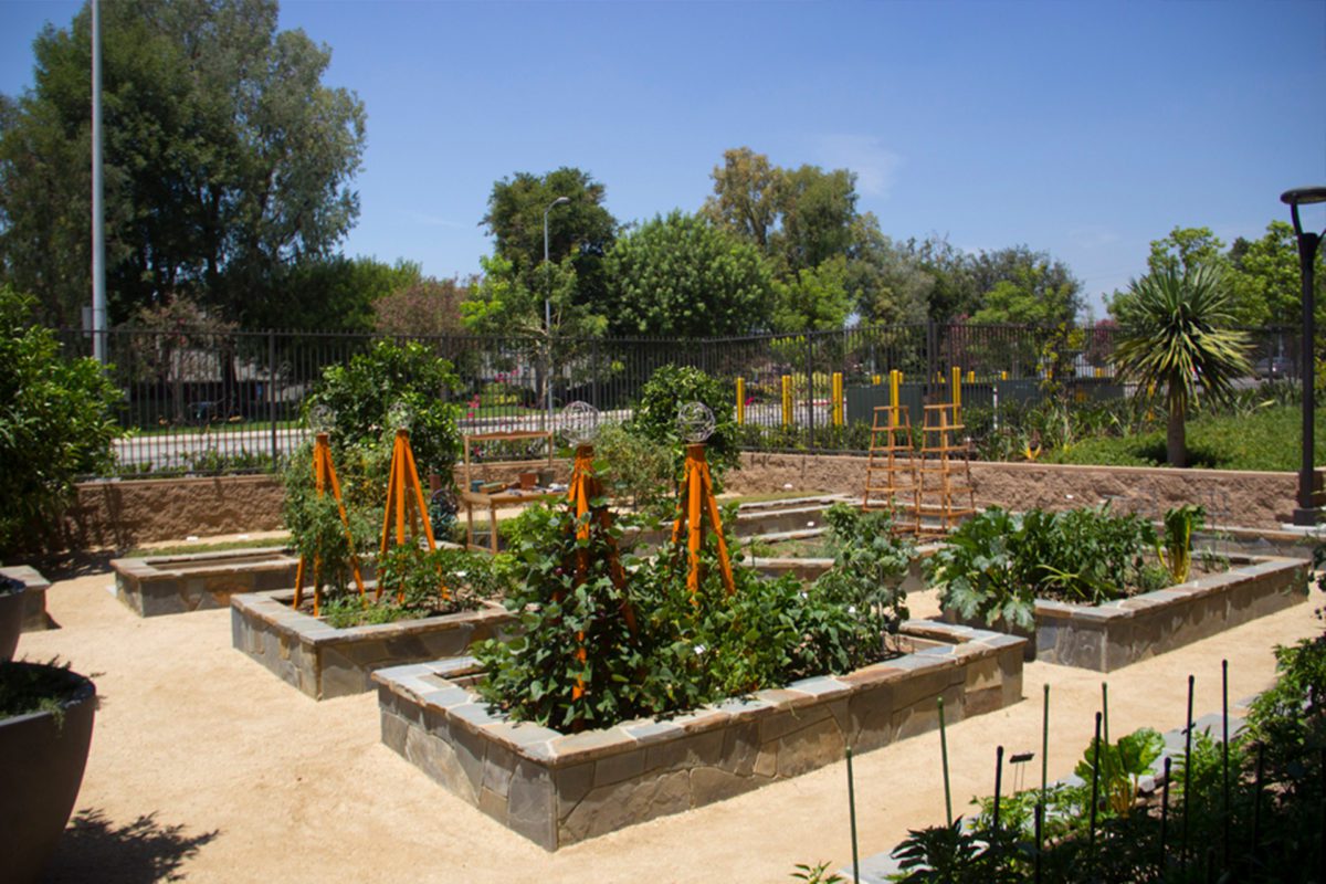 Multi-Family | Farmscape – Farmscape