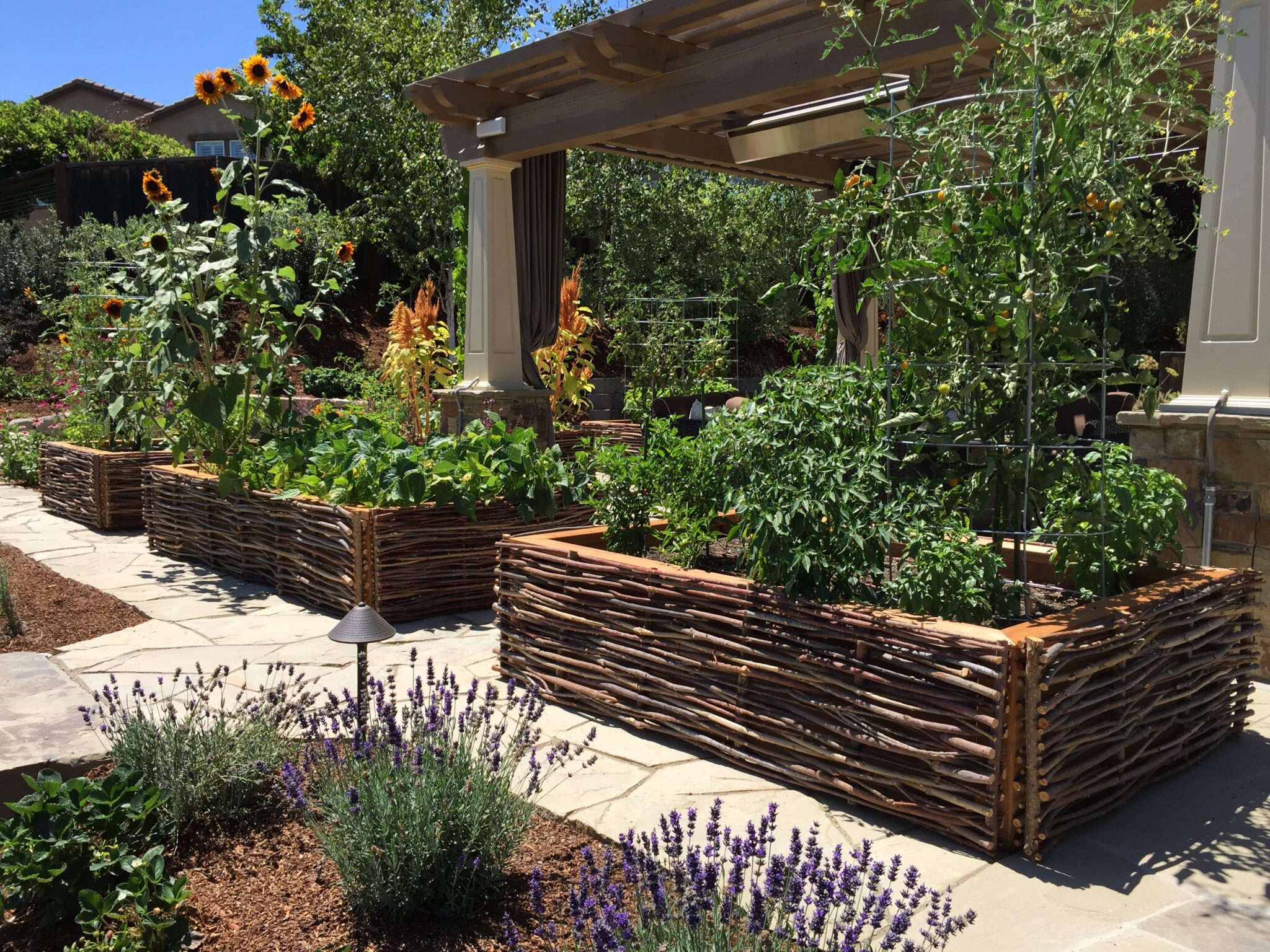 Luxury Landscape Design Services in California | Farmscape – Farmscape