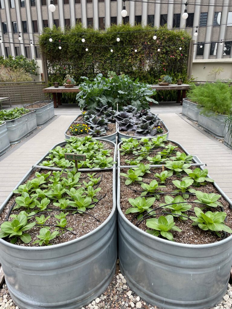 Rooftop Landscape Design & Architecture Services | Farmscape